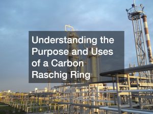 Understanding the Purpose and Uses of a Carbon Raschig Ring - Renan ...